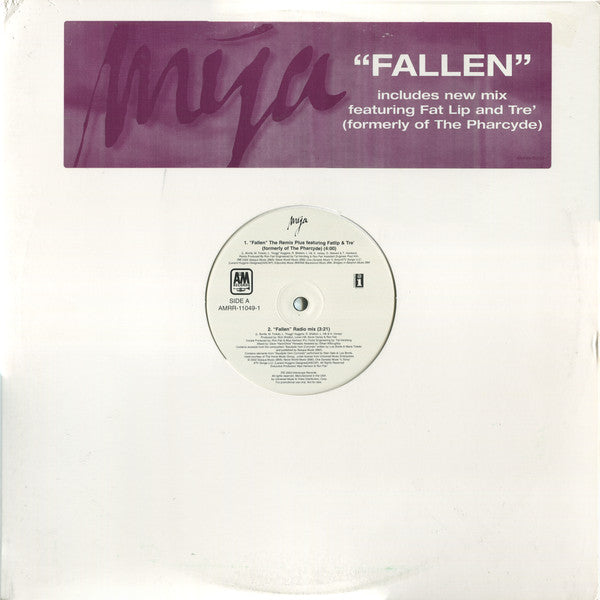 Fallen by Mya – Record Selector
