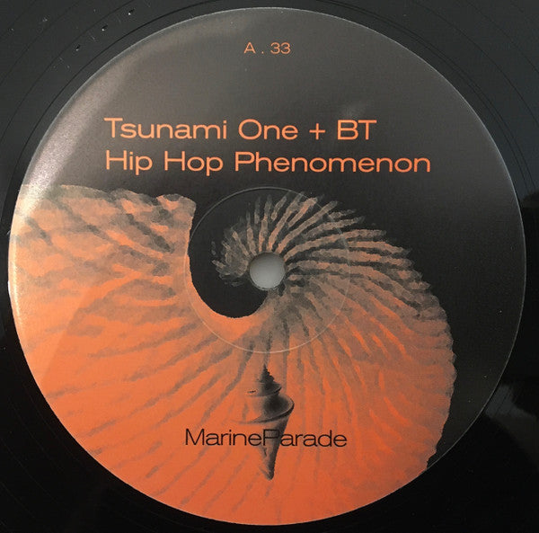 Hip Hop Phenomenon by Tsunami One + BT – Record Selector